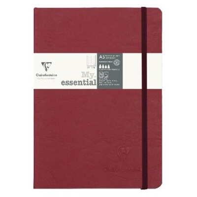 预订【德语】 Notizbuch Age Bag My.Essential A5 96 Blatt dot-linierteatur, Rot[3329687934321]