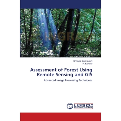 按需印刷不退不换Assessment of Forest Using Remote Sensing and GIS[9783659131356]