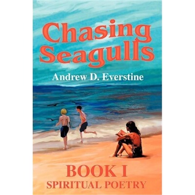 按需印刷Chasing Seagulls:Book I[9780595315970]