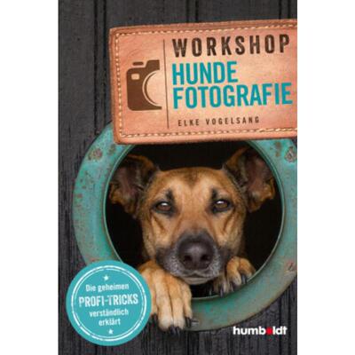 预订不退不换德语 Workshop Hundefotografie:Die geheimen Profi-Tricks verständlich erklärt