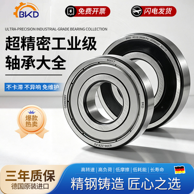 进口轴承型号大全6200RS6201机电轴承6202 6203轴承 6205 高精度
