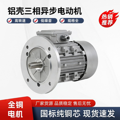 YS铝壳三相交流铜芯电动机马达