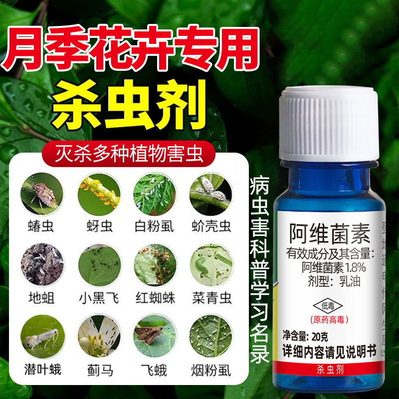 月季阿维菌素杀虫剂家用室内微毒红蜘蛛白蜘蛛专用药绿植盆栽专用