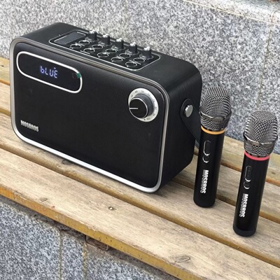 Portable Karaoke Machine 120W Powerful Outdoor Party Speaker