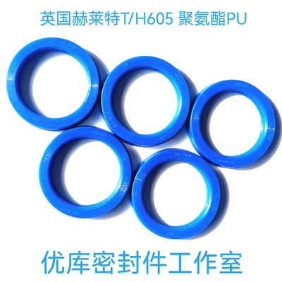 英国赫莱特T/H605轴用140.1～220内径活塞杆Y型圈密封耐磨耐高压