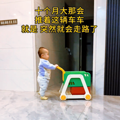 学步车0-3岁宝宝学走路神器宝宝推车学步小手推车儿童过家家仿真