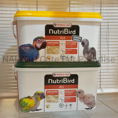 凡赛尔VERSELE-LAGA）A19 A21中小型大型鹦鹉幼鸟高蛋白奶粉鸟食