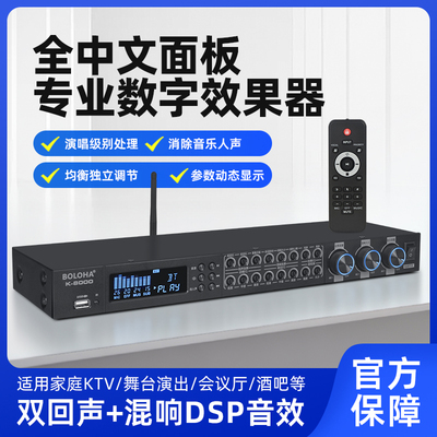 中文专业家用混响蓝牙演出