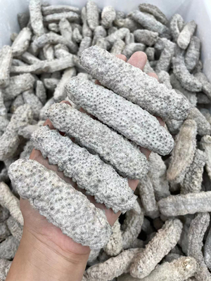 黄玉参 澳洲淡干白黄玉参马尔代夫黄玉参干货刺参500g包邮