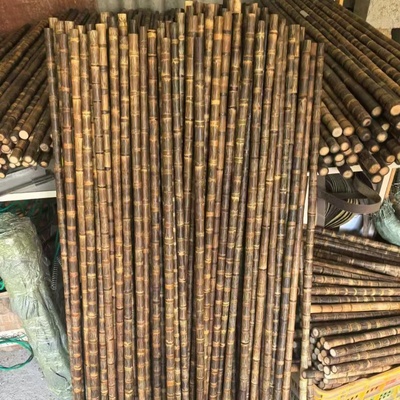 实心竹金丝竹登山杖拐杖武术棍瑜伽棍密节手工打磨龙血金丝竹教鞭