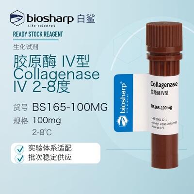 白鲨Biosharp BS165-100mg 胶原酶IV型Collagenase IV 2-8度