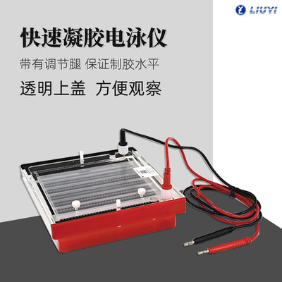 六一牌快速凝胶电泳仪电泳槽