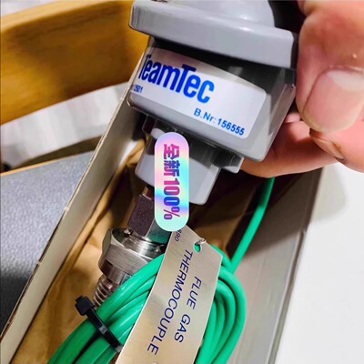 Teamtec 热电偶 6429 156555 W1C-38 带烟气变送器