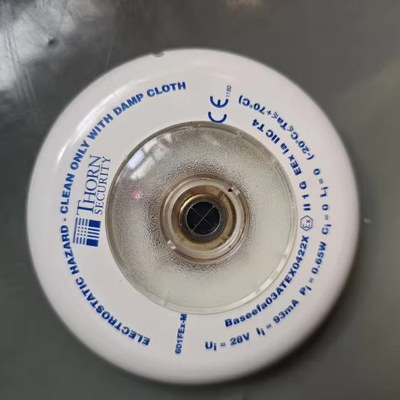 Tyco 601FEx-M 火焰探测器