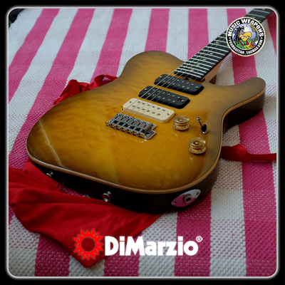Tom Anderson/DiMarzio/DP169/DP210/SOAPBAR/P90/拾音器定制案例