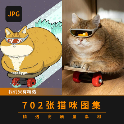 手绘猫咪插画现实创作可爱有趣proceate临摹素材
