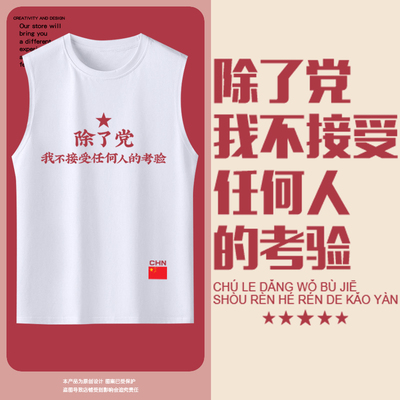 趣味文字除了党我不接受任何背心