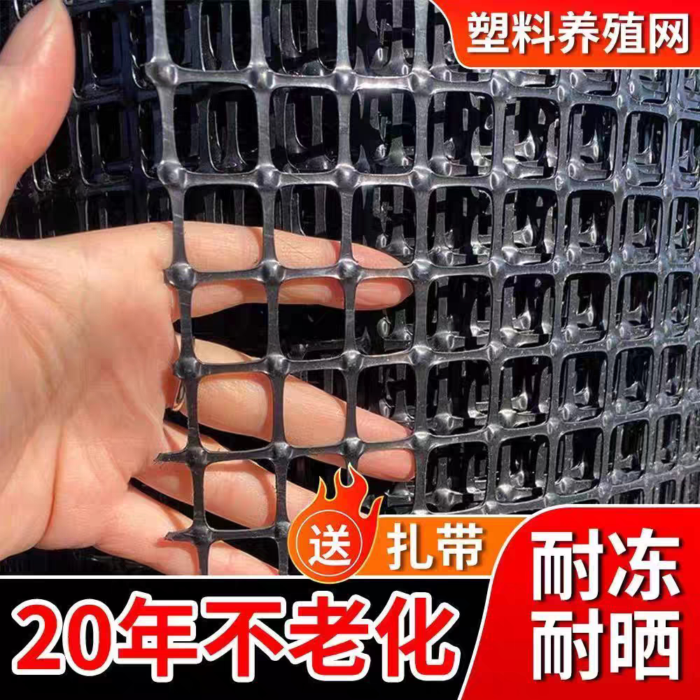 加厚养殖鸡鸭鹅塑料网玉米网果园圈地菜地围栏网栅栏鱼塘隔离网