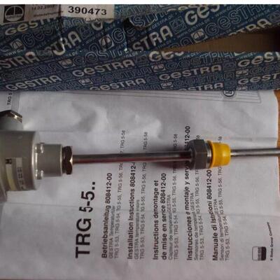 TRG 5-53 1xPT100 G1/2