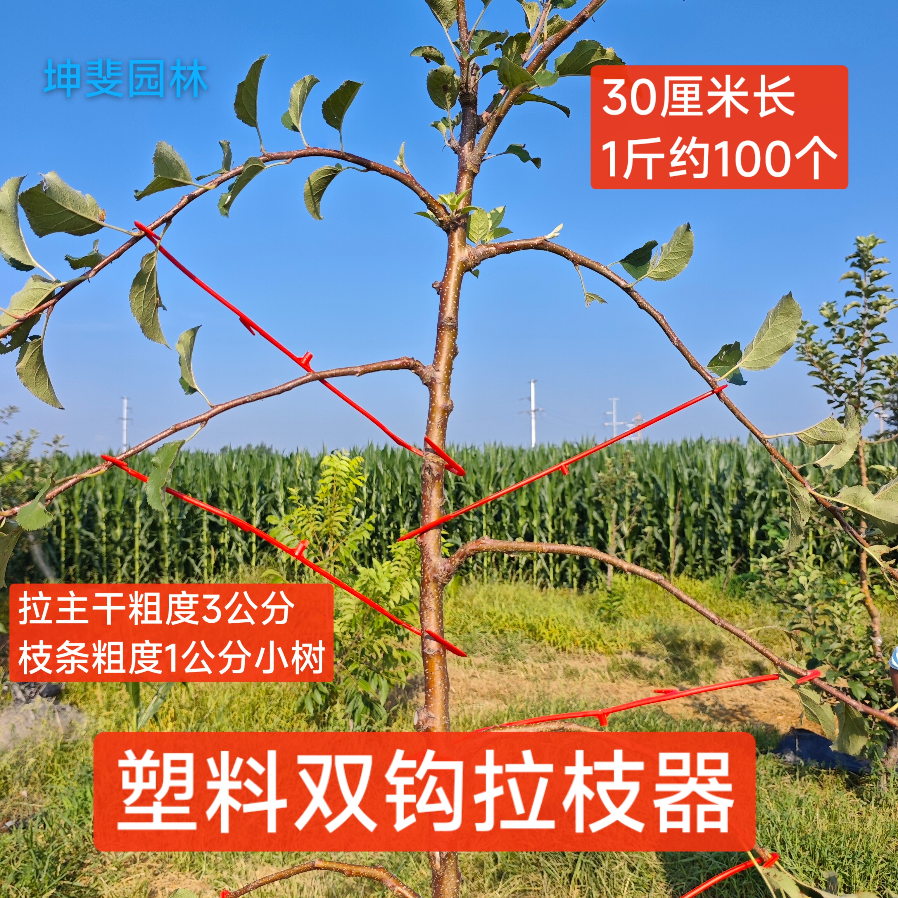 新款果树塑料拉枝器双钩主干型果树开角器别枝定型器纺锤形固定器