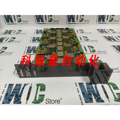 工业配件NASM02 6634744KI 模拟从属模块
