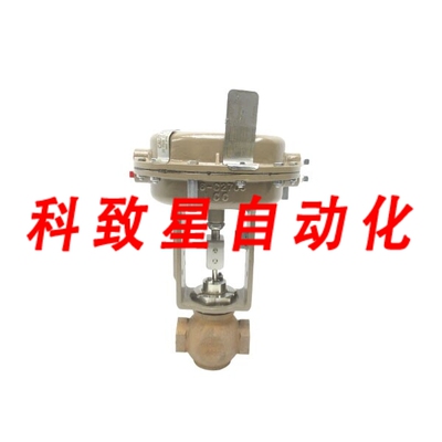 工业配件CASHCO 229-3/4/DN20NPT 755PSI