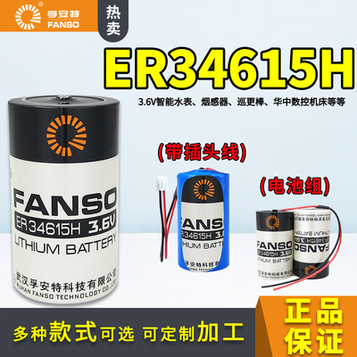 孚安特ER34615H智能水表3.6V电池