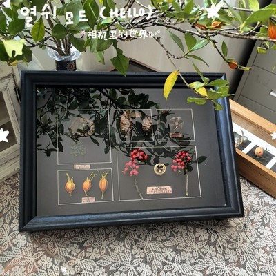 A4立体中空5cm植物标本相框