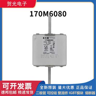 全新原装170M6080/170M6081/170M6163  快速熔断器
