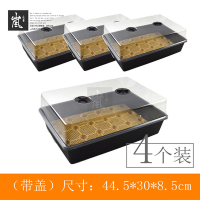 量贩装丨44.5cm蓄水多肉花卉转运