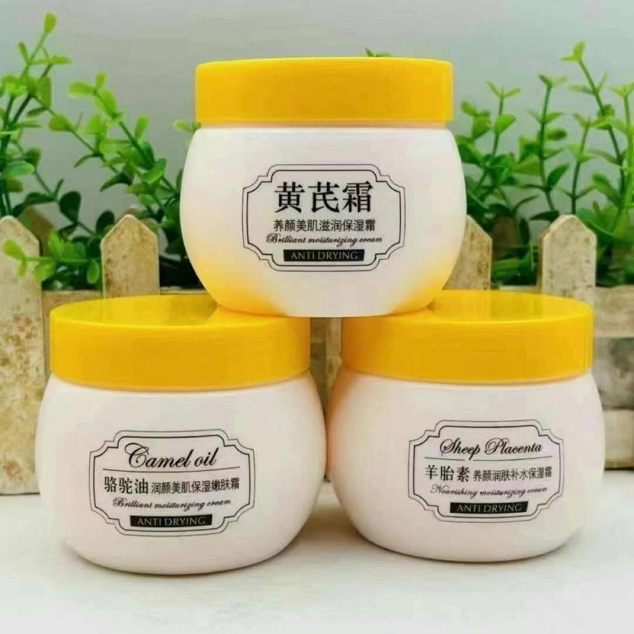 卡绚羊胎素养颜保湿补水面霜黄芪霜骆驼油嫩肤提亮改善干燥220g