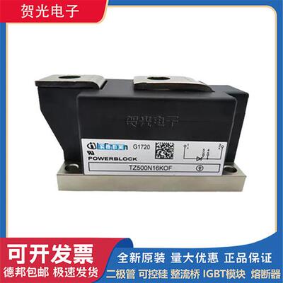TZ500N14KOF TZ500N12KOF TZ600N16KOF功率可控硅模块.现货直销