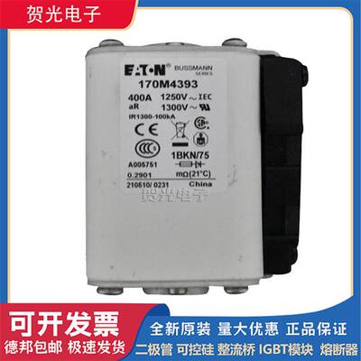 快速熔断器保险丝170M4392/4393/4394/4395/4396/4397/5388