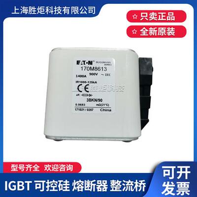 170M8613/8614/8615/8616/8617/8618/8619/8620快速保险丝熔断器