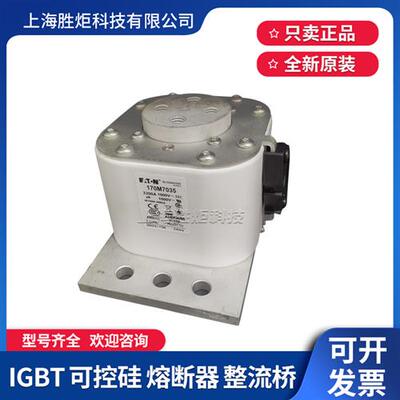 巴斯曼全新熔断器170M7035 7043 7058 7059 7060 7061 7062 7064