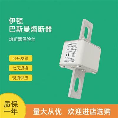 全新快速熔断器保险170M4613 170M4614 170M4615 170M4616