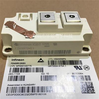 FZ900R12KE4 FZ400R12KE3 FZ800R12KE3 FZ600R17KE4 BSM300GA120D