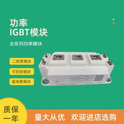功率IGBT模块SKM200GBD126D1S SKM300GBD12T4 SKM150GAH12E4DKLT