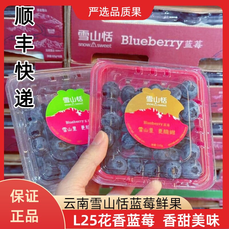 云南雪山恬蓝莓玉龙雪山稼沃蓝莓鲜果当季脆甜蓝莓125g/盒顺丰