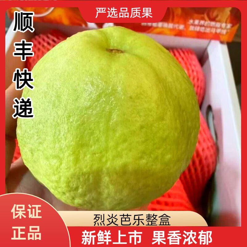 创鲜源烈炎红心芭乐新鲜水果红番石榴孕妇3斤软糯香巴乐顺丰快递