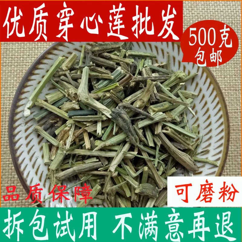 穿心莲中药材店铺500g包邮穿心莲粉川心连茶新鲜苦胆草植物中草药