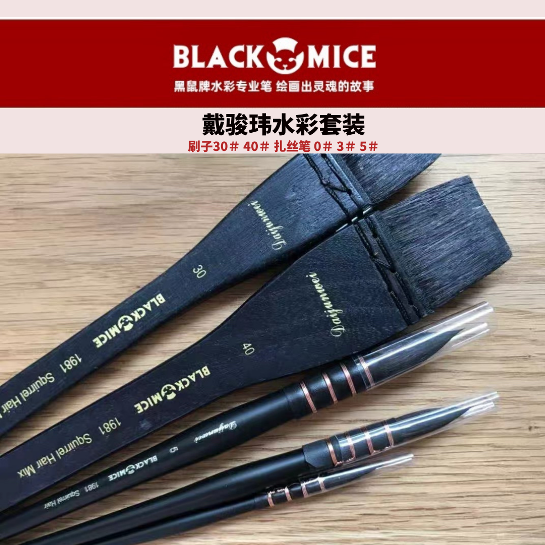 BLACK MICE黑鼠牌戴骏玮水彩套装学员优惠价_虎窝淘
