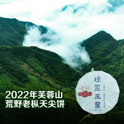 琼浆玉叶-2022年芙蓉山天尖茶饼128g安化黑茶7.28