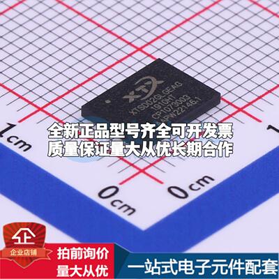 全新正品XTSD02GLGEAG LGA-8(6x8) NAND FLASH质量保证