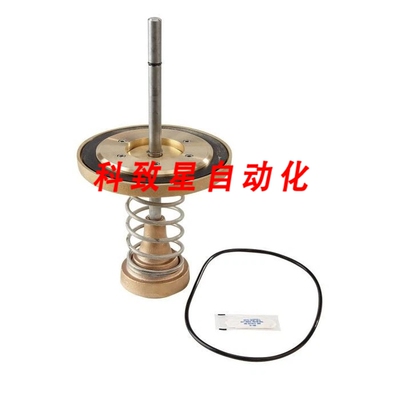 工业配件RK-909-CK2-10 检查10英寸 SER.909 0887219 RK 909-CK2