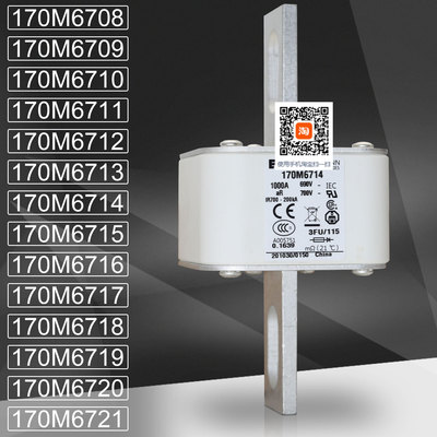 巴斯曼170M6712170M6714熔断器