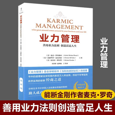 【官方正版】业力管理：善用业力法则创造富足人生 当和尚遇到钻石续篇能断金刚作者麦克·罗奇 畅销商业经营管理企业成长书籍
