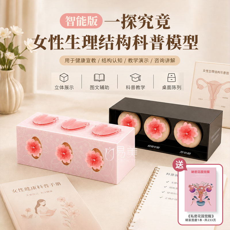 妇科健康科普教学模型女性生理结构展示教具护理课程培训宣教摆件
