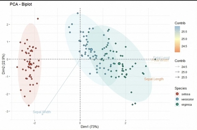 个人】r语言画图pca主成分析lasso聚类生信cox统计大学生回归方差