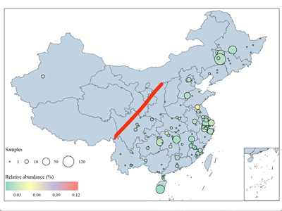 r语言随机森林辅导 作图 代码 医学临床统计SPSS数据Eview实证